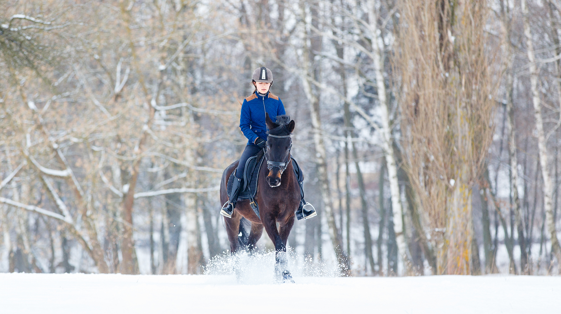 Winter Preparation: Make it count - Train to Progress