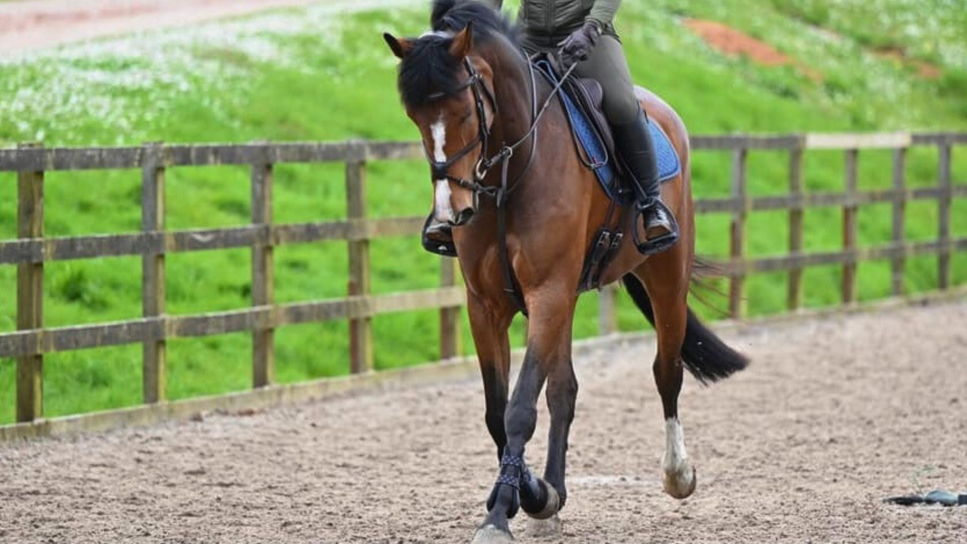 Why riding on the correct diagonal is important | Horse Riding Tips